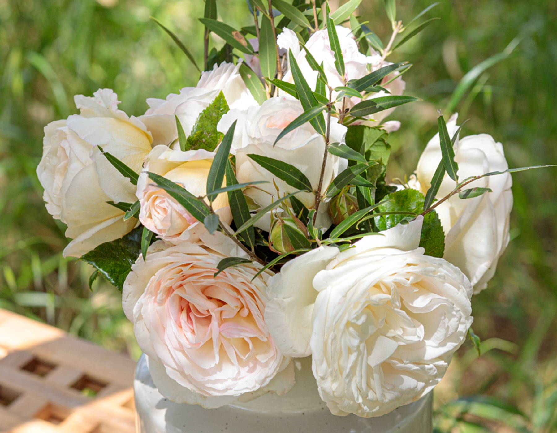 Top Cream™ | Bloomables